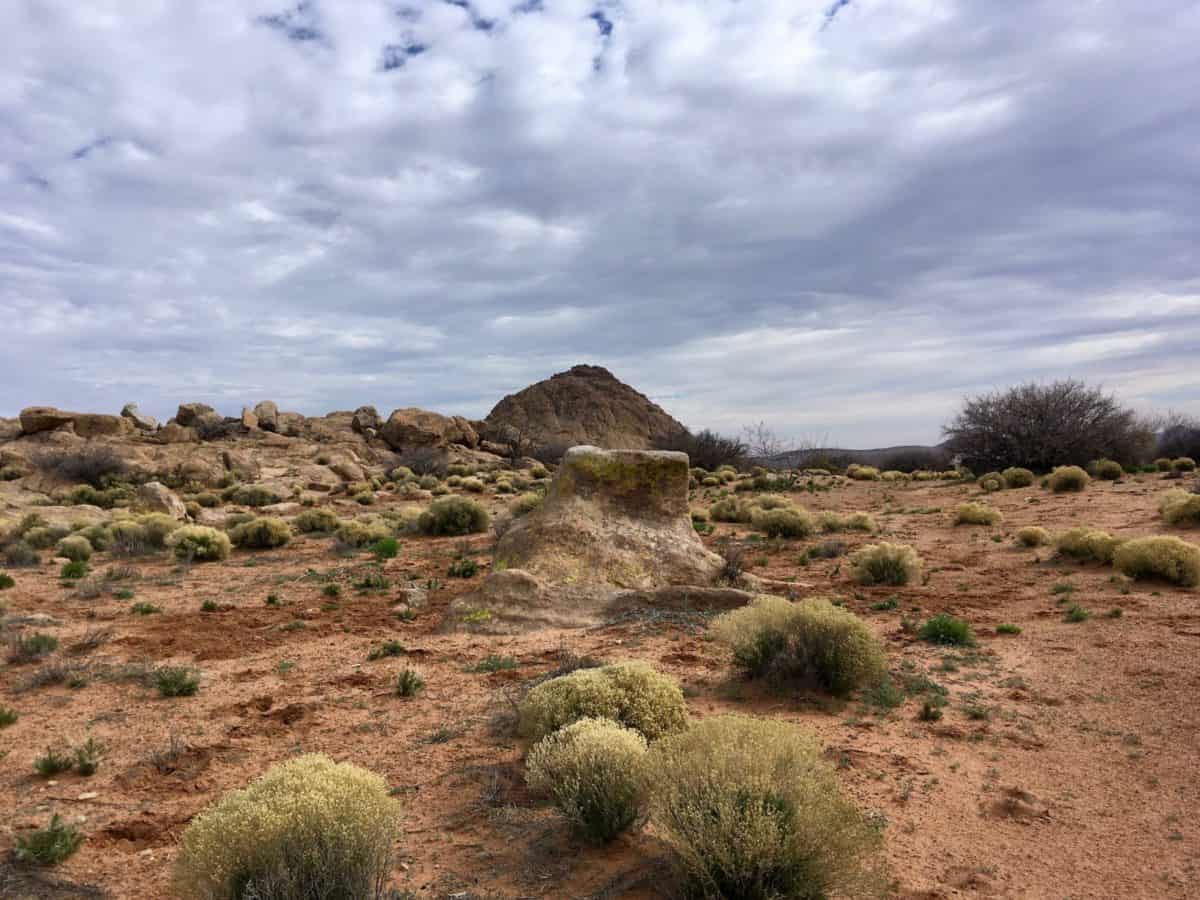 Provenance Cone Rubbing Rocks - Carol Potenza